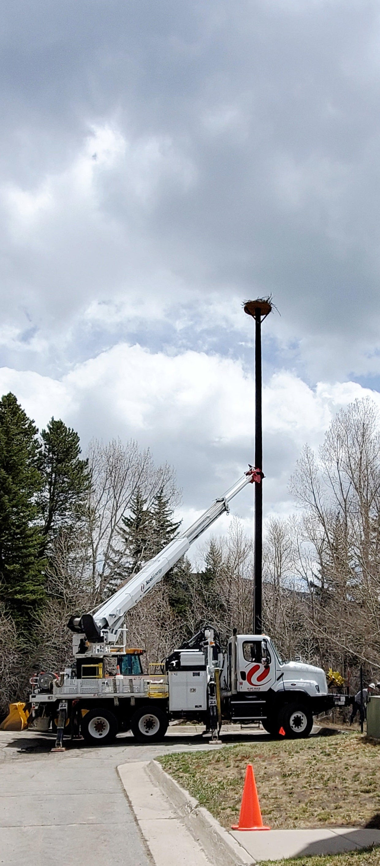 Ospreys relocated from construction crane in Silverthorne - CBS Colorado
