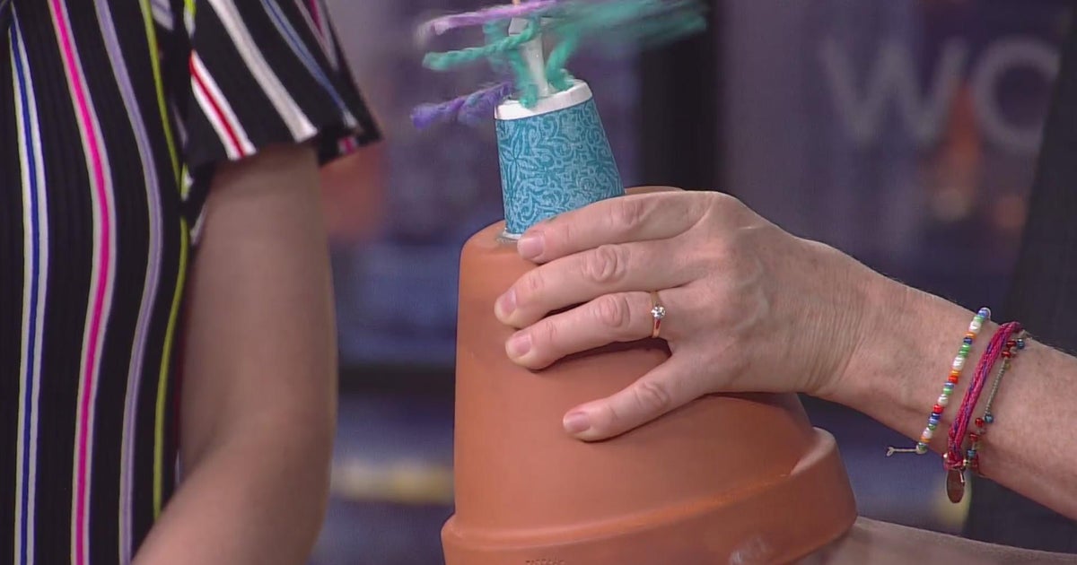 DIY home experiments to teach kids about ecology - CBS Minnesota