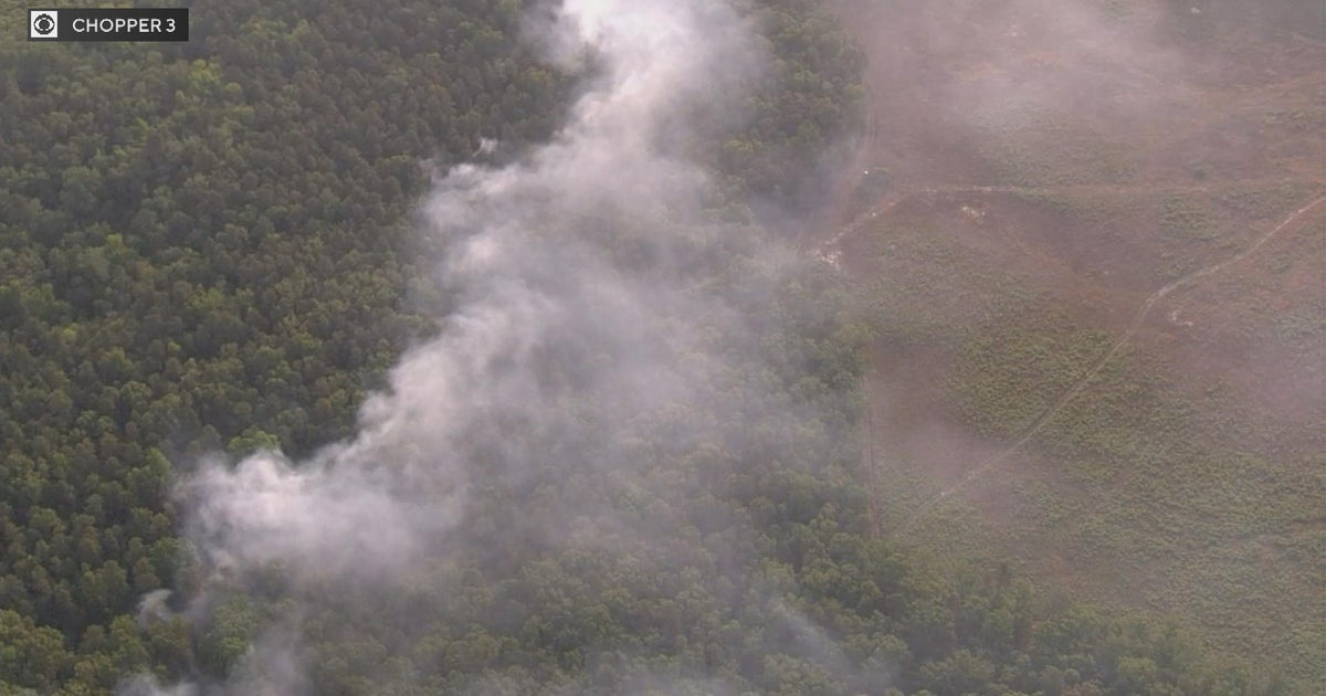 Forest fires scorch Media and Gloucester County - CBS Philadelphia