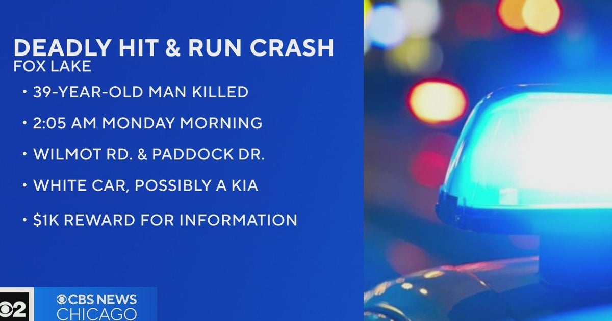 McHenry Co. Sheriff deadly Fox Lake hit-and-run - CBS Chicago