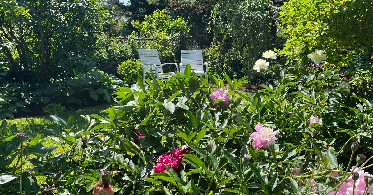 Mt. Airy Learning Tree's Annual Hidden Garden Tours opens backyard to ...