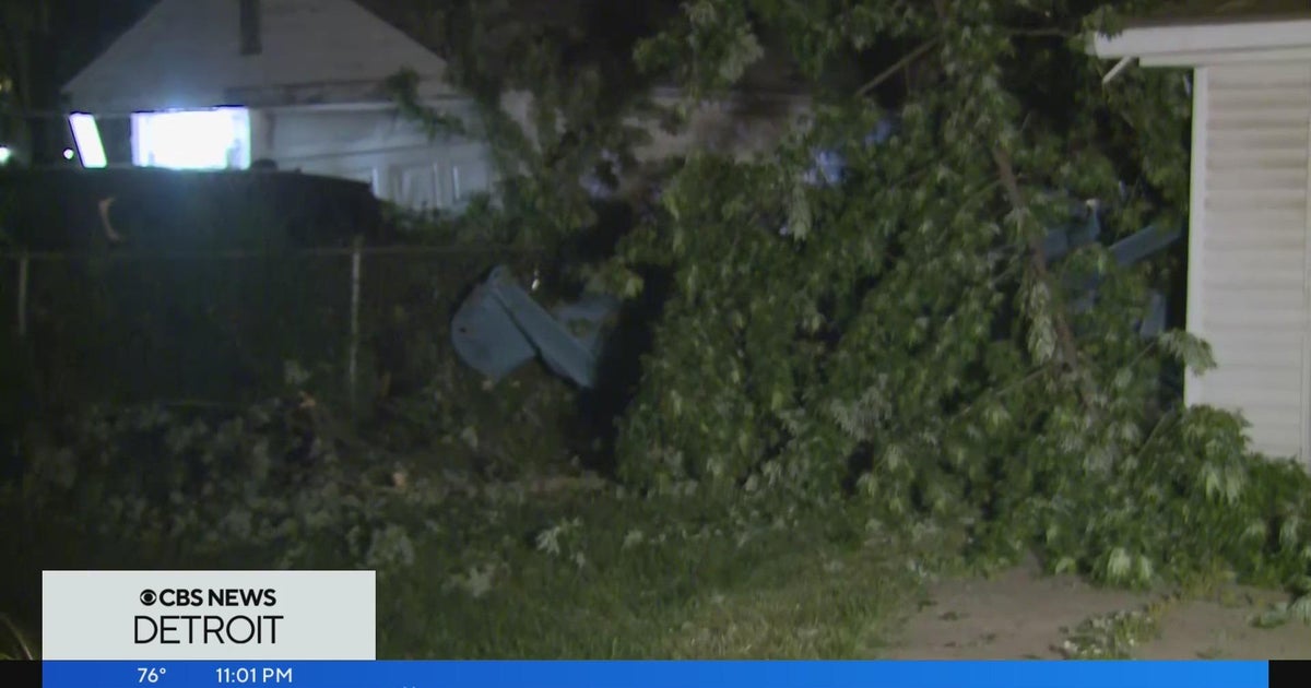 Small plane crash lands in backyard of Detroit home, police say - CBS ...