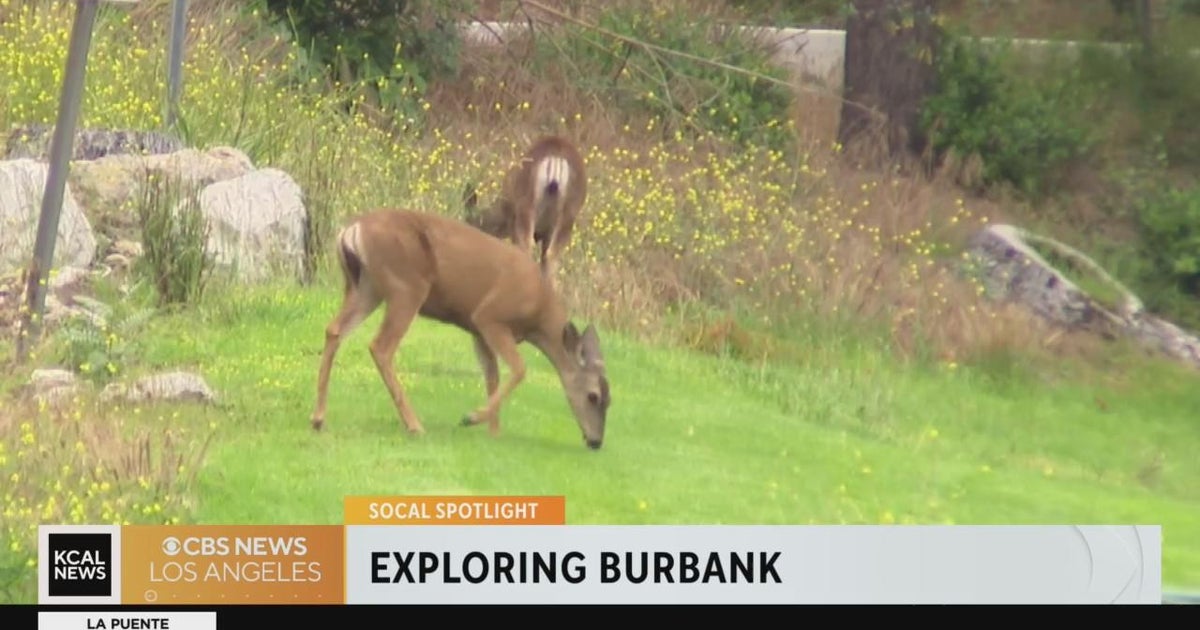 SoCal Spotlight: Exploring Burbank - CBS Los Angeles