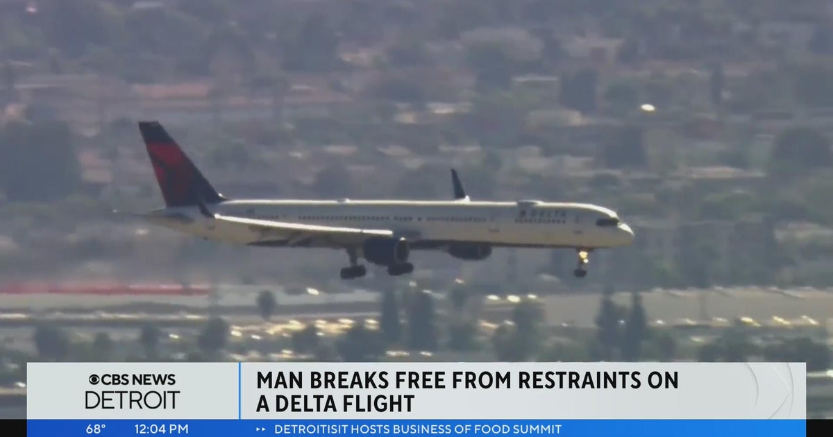 Delta flight en route to Detroit diverted to Canada due to unruly ...