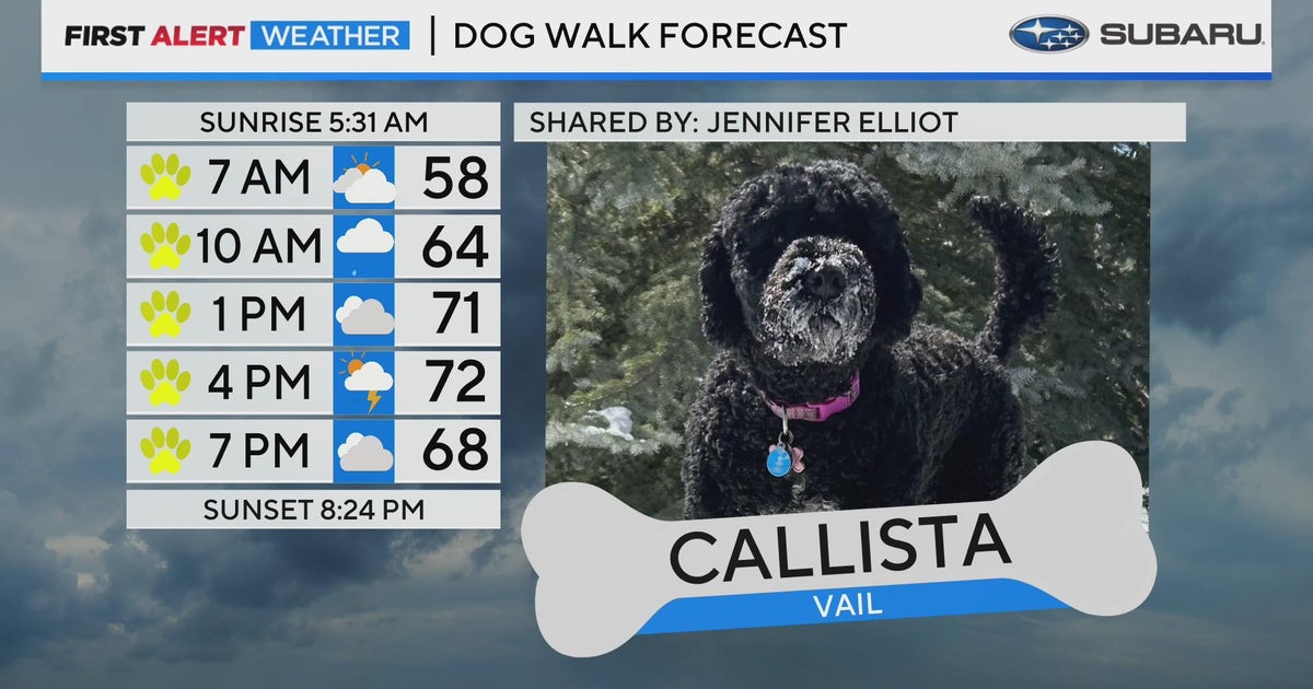Callista joins Dog Walk Forecast - CBS Colorado