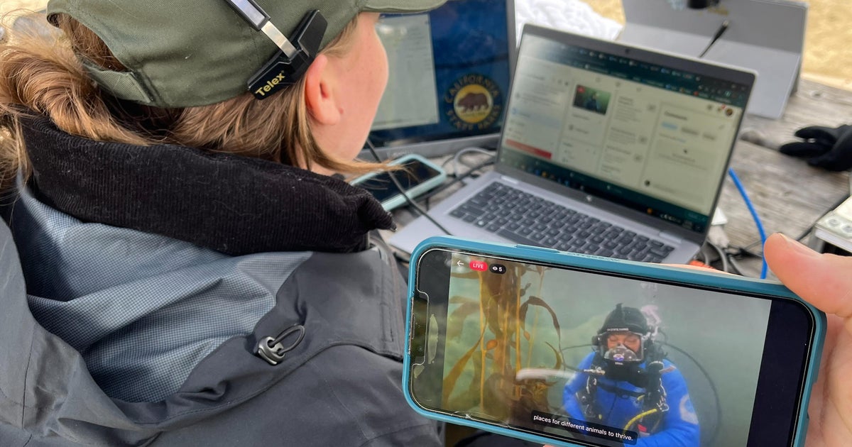 California state parks celebrate World Ocean Week - CBS San Francisco