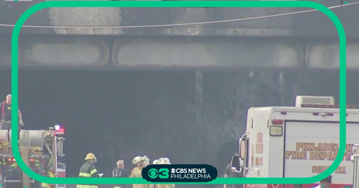 Large vehicle fire causes portion of I-95 in Philadelphia to collapse ...