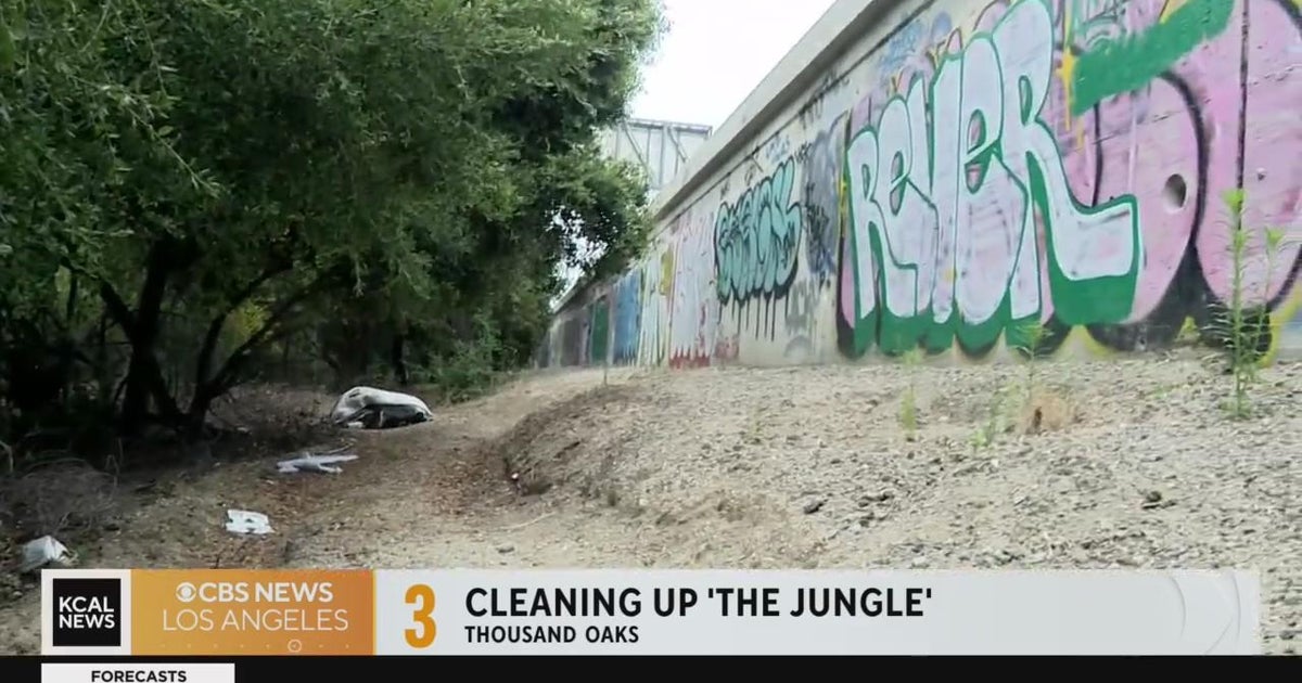 Thousand Oaks cleanup of "The Jungle" - CBS Los Angeles
