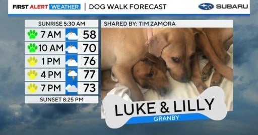 Luke & Lilly join Dog Walk Forecast - CBS Colorado