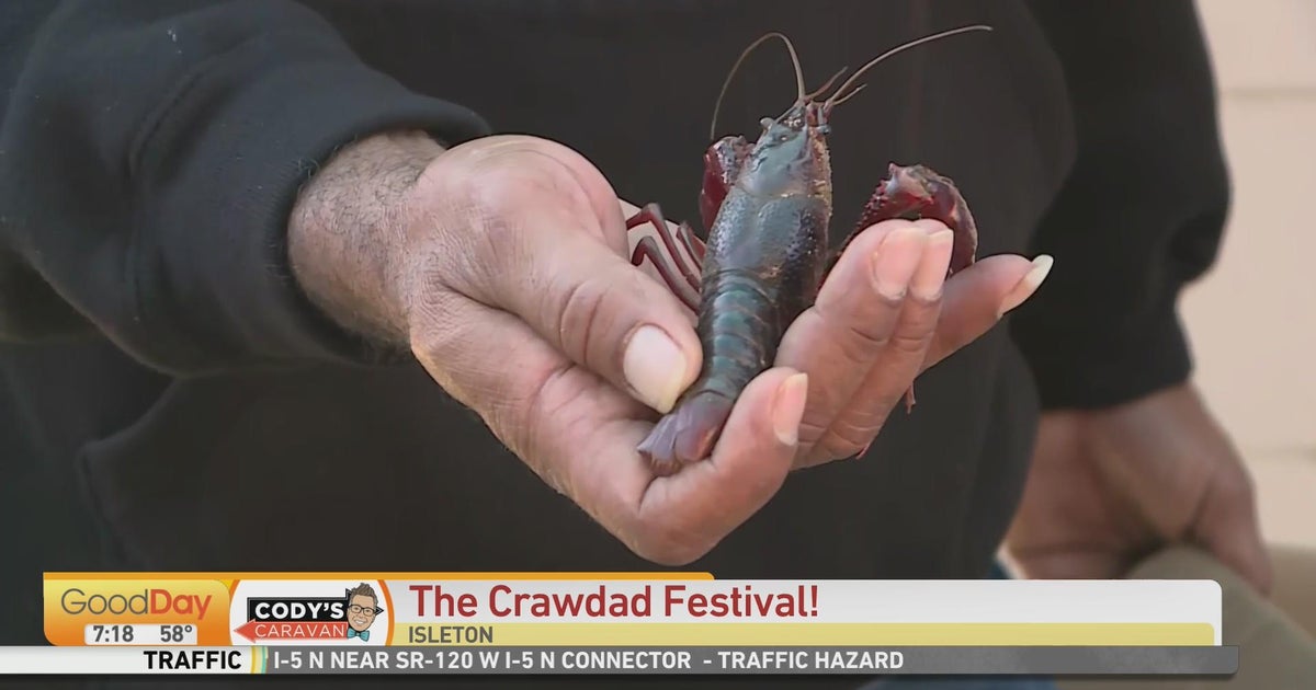 Cody's Caravan: The Crawdad Festival, 7am - Good Day Sacramento
