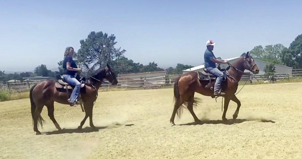 A rider looks back on years competing in the Gay Rodeo circuit - CBS San Francisco