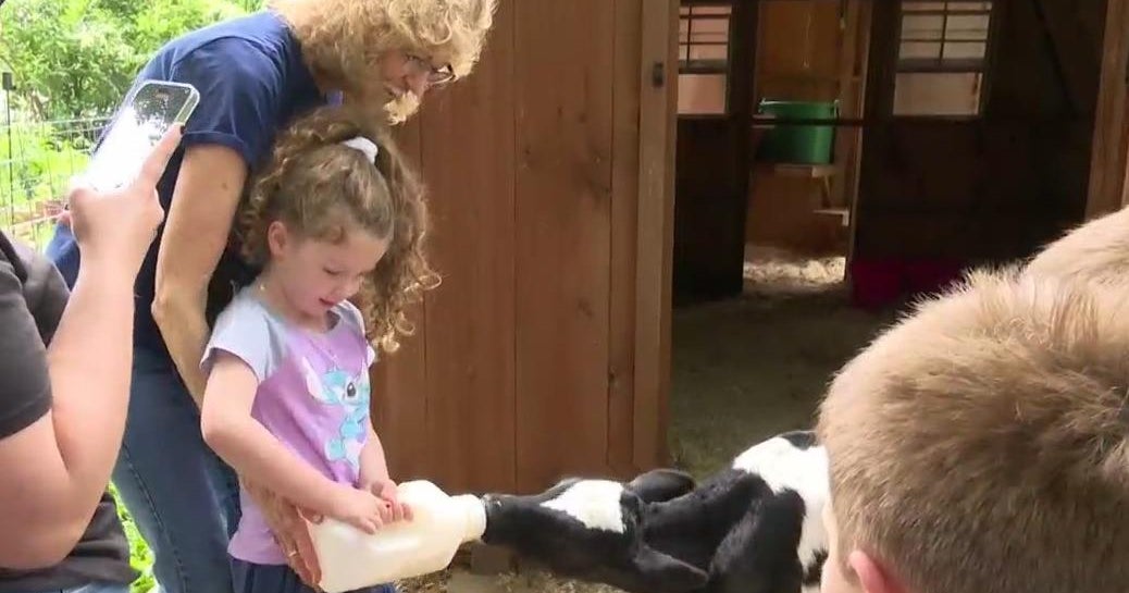 Rose Bridge Farm and Sanctuary teaches kids about basics of farm ...