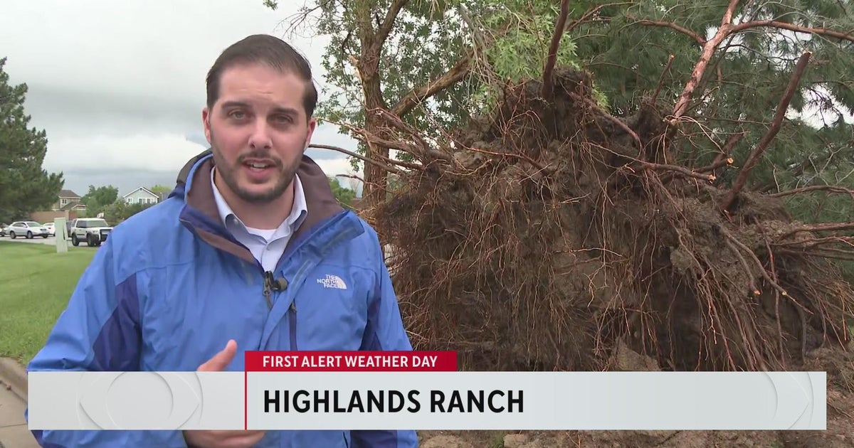 Downed trees among tornado damage in Highlands Ranch - CBS Colorado