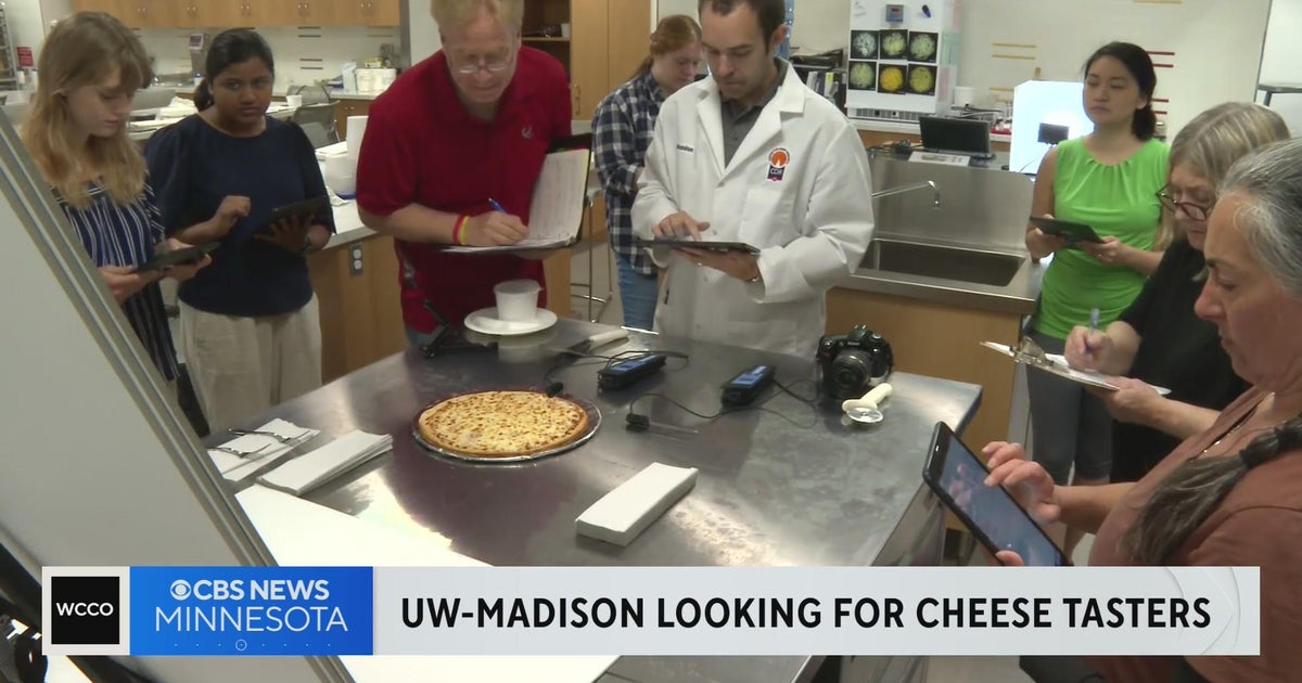 UW-Madison looking for cheese tasters - CBS Minnesota