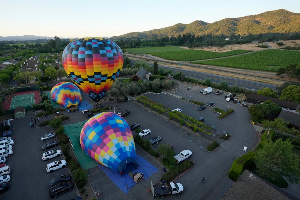 Photos: Napa Valley wine grapes thrive after record rainfall, but cool ...