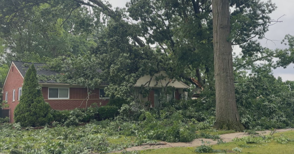 Dearborn neighborhoods hit hard by severe storms Sunday - CBS Detroit