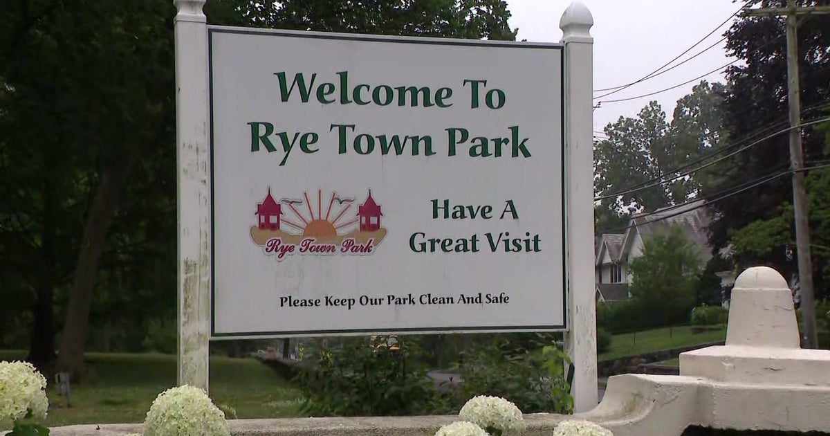 Suspected serial sex predator Richard Olmino arrested for rape in Rye ...