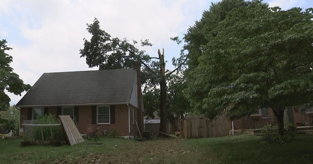 Ridley Township suffers storm damage as severe weather tore through the ...