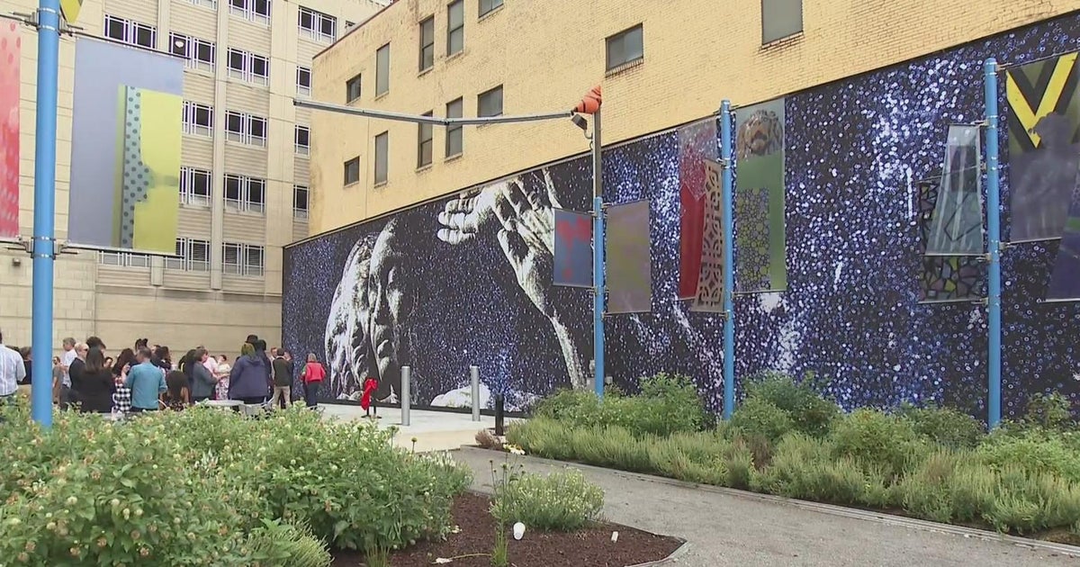 'Anatomy of the Human' art installation unveiled on the North Side ...