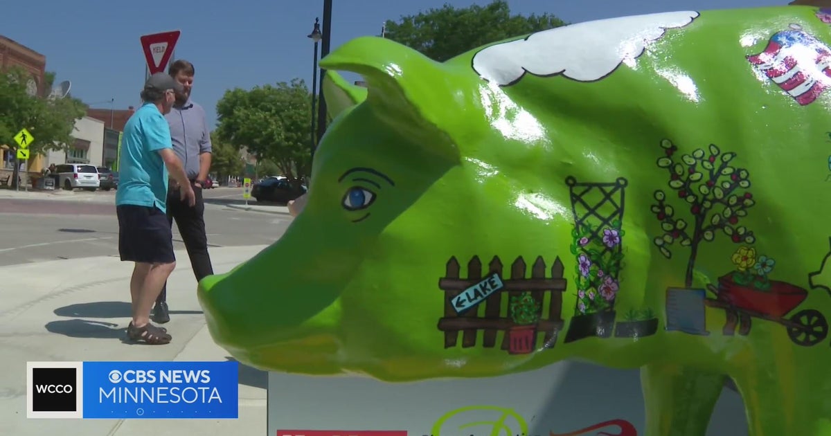 Finding Minnesota: Martin County’s pig statues - CBS Minnesota