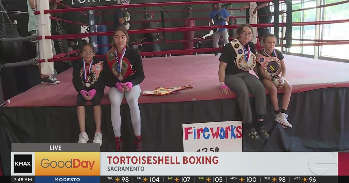 Tortoise Shell Boxing - Good Day Sacramento