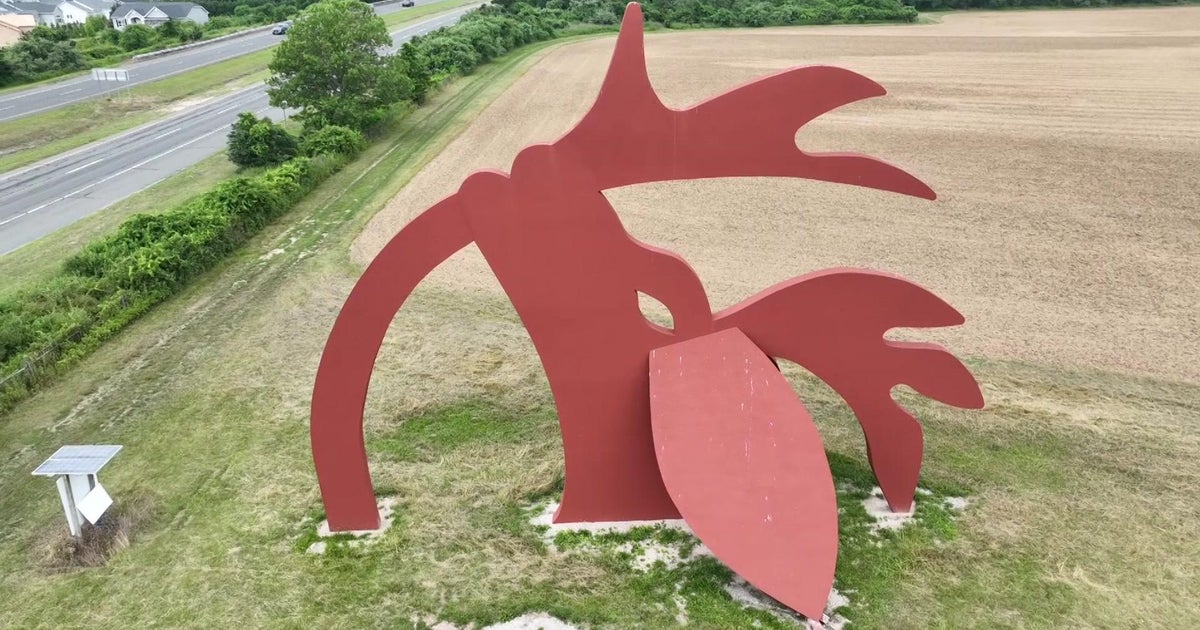 Beloved Hamptons landmark "Stargazer" restored after years of decay ...