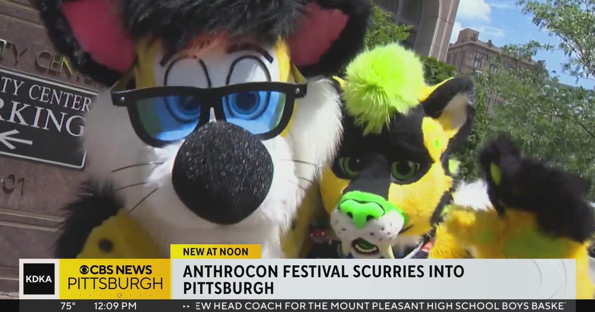 Anthrocon returns to Pittsburgh for its 16th year in the city - CBS ...