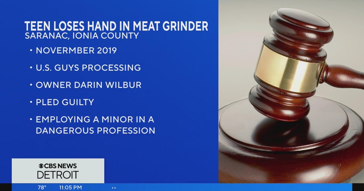 Owner of Michigan meat processing company pleads guilty to illegally ...
