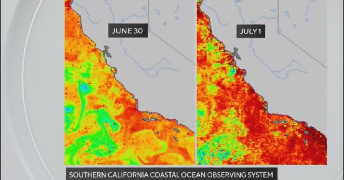 Public Health urges against eating shellfish amid toxic algae bloom ...