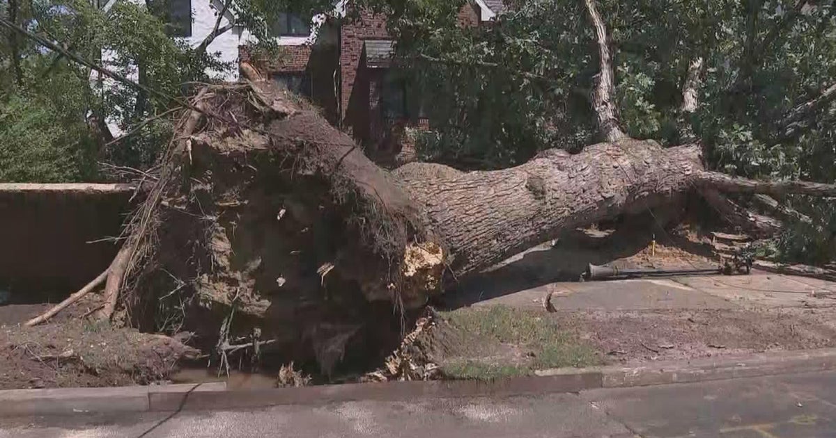 "It was kind of apocalyptic": Cleanup underway in Haddonfield after ...