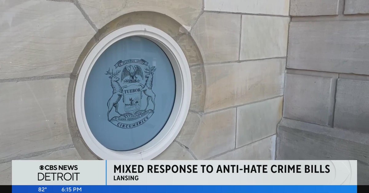 Michigan Rep. Noah Arbit pushes back against claims bill creates felony ...