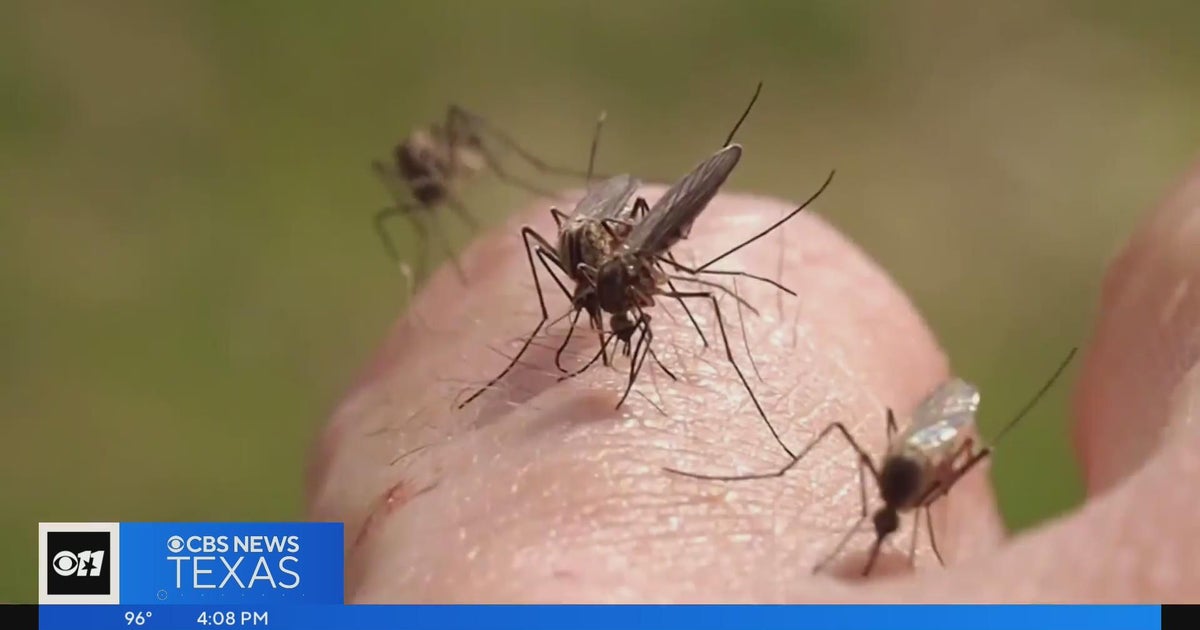 Dallas County reports first human case of West Nile Virus of the season ... Dallas County reports first human case of West Nile Virus of the season ...