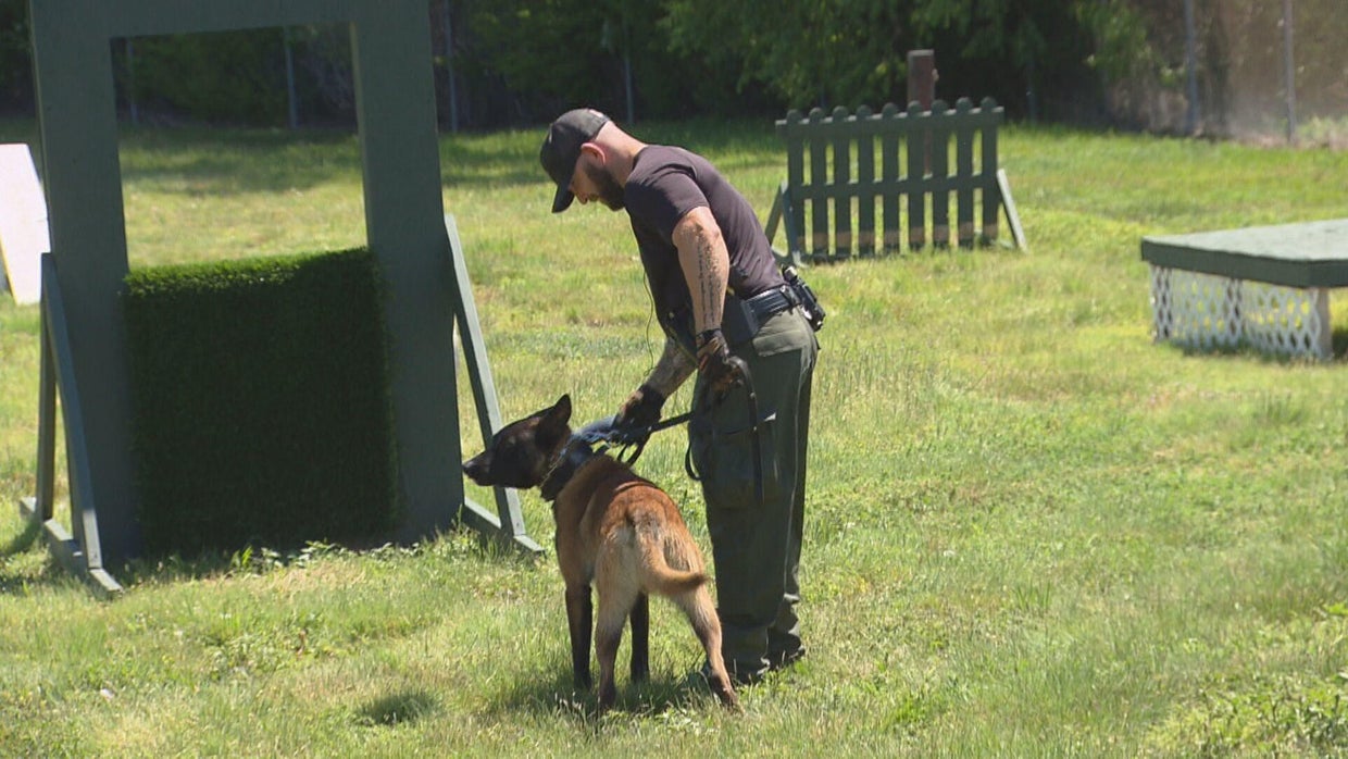 Jefferson County Sheriff's Office welcomes 2 new K9 deputies "Rico" and ...