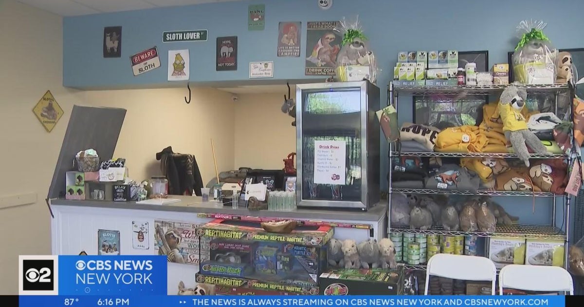 Suffolk Co. Supreme Court finds sloth store in civil contempt of court ...