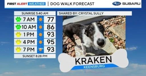 Kraken joins Dog Walk Forecast - CBS Colorado