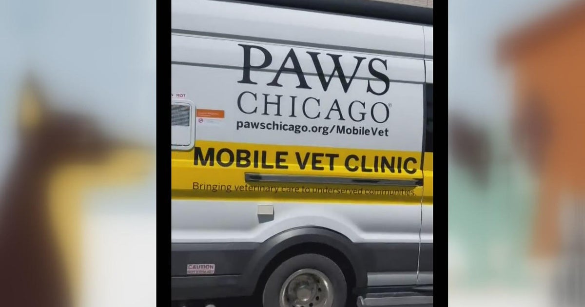 PAWS Mobile Vet Clinic opening in Englewood Friday - CBS Chicago