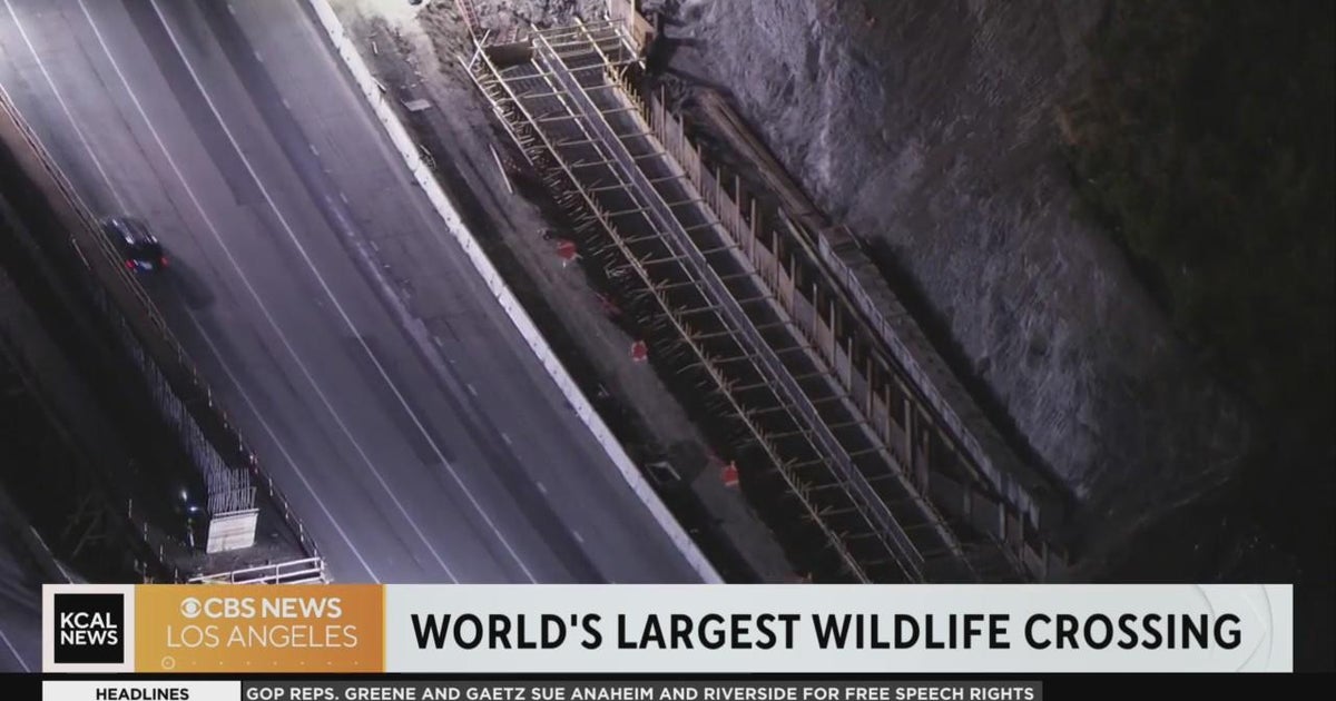 Work continues at the Wallis Annenberg Wildlife Crossing - CBS Los Angeles