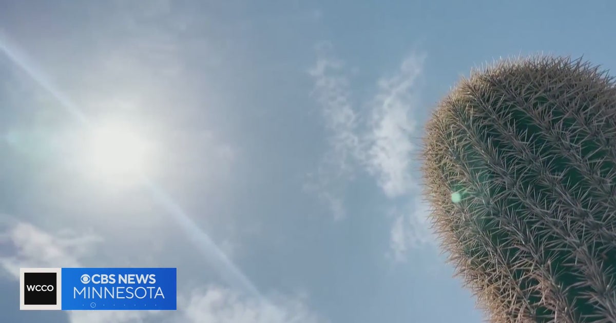 Emergency rooms bracing for effects of brutal heat wave - CBS Minnesota