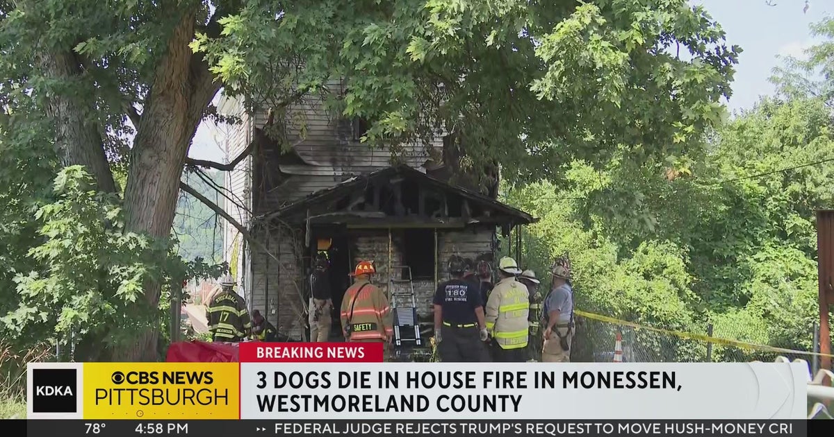 Dogs killed in house fire in Monessen - CBS Pittsburgh