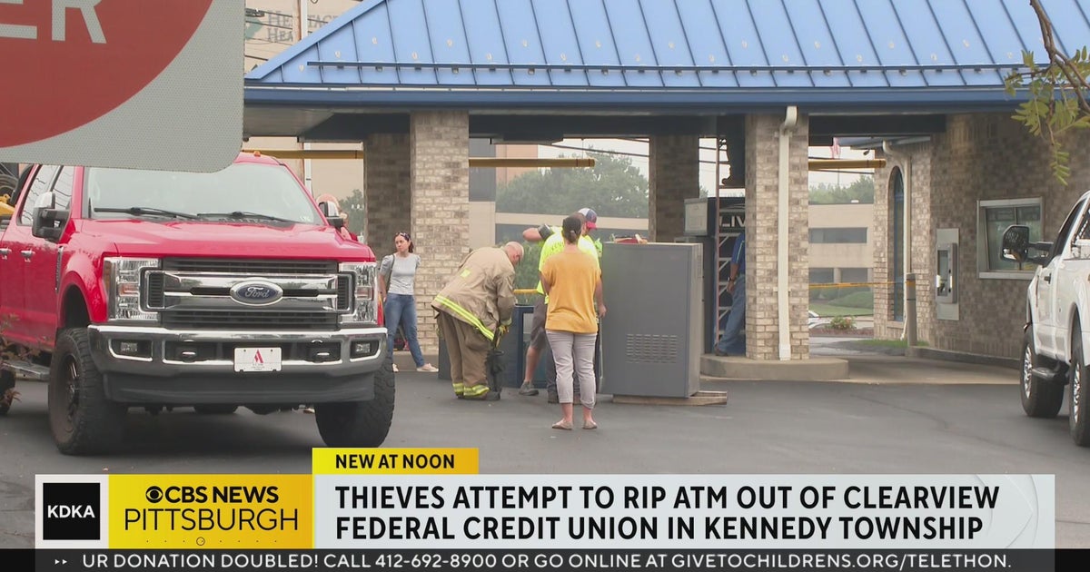 Police: Thieves try to rip ATM out of Clearview Federal Credit Union in ...