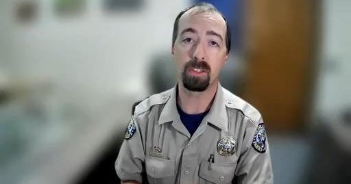 Public helps CPW capture, charge man in moose killing - CBS Colorado