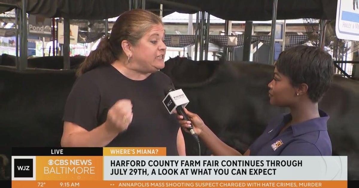 Where's Miana? Learning more about the Harford County Farm Fair - CBS ...