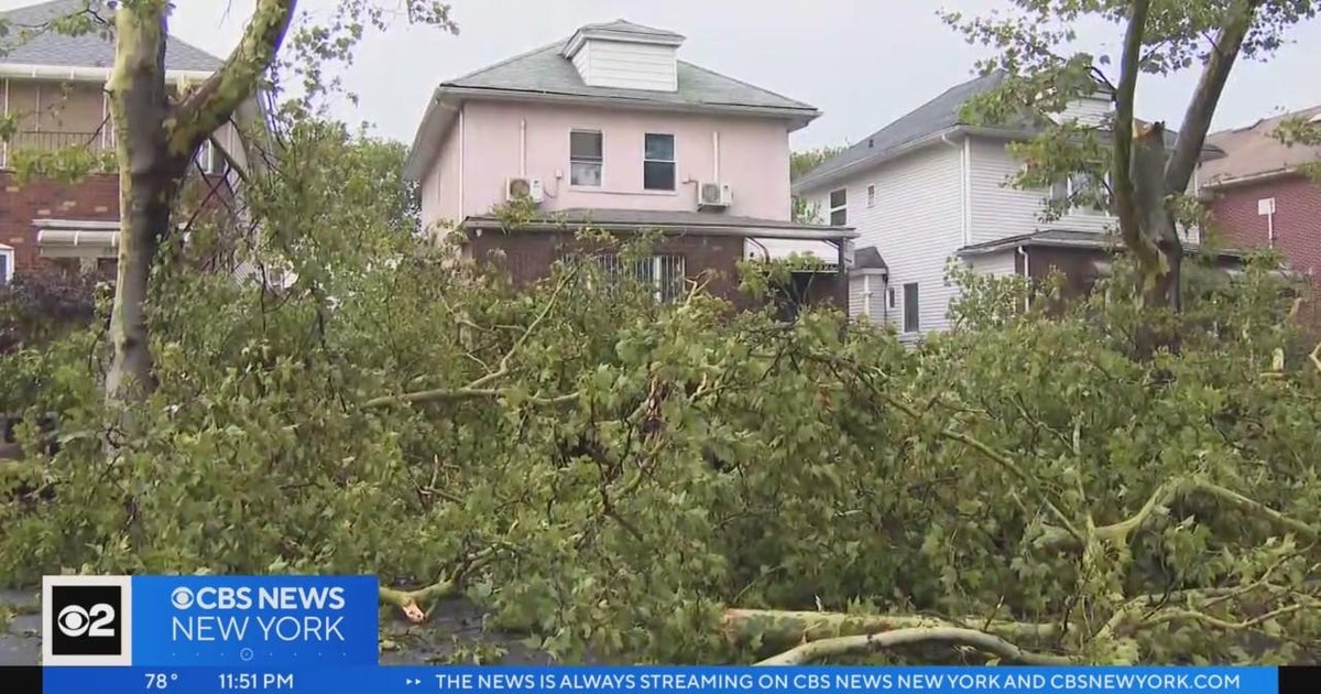 Cleanup continues in Brooklyn after microburst took down dozens of ...