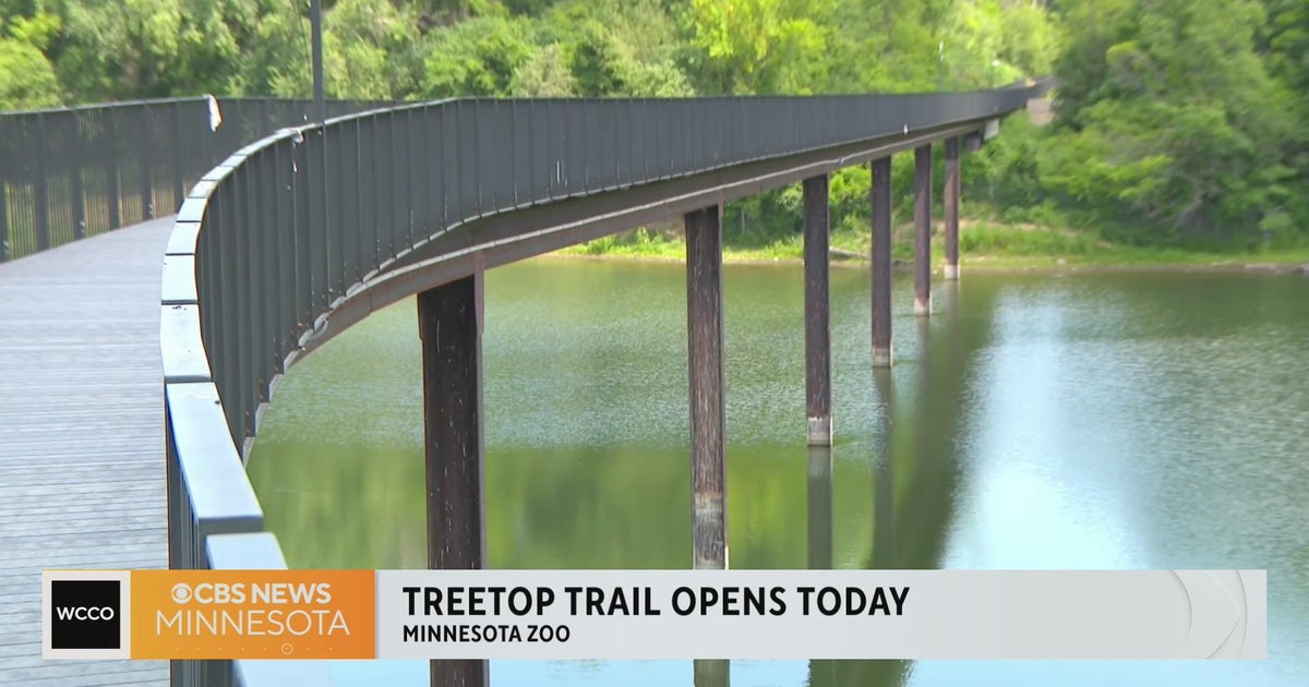 Minnesota Zoo’s new treetop trail opens Friday: Here's a preview - CBS ...