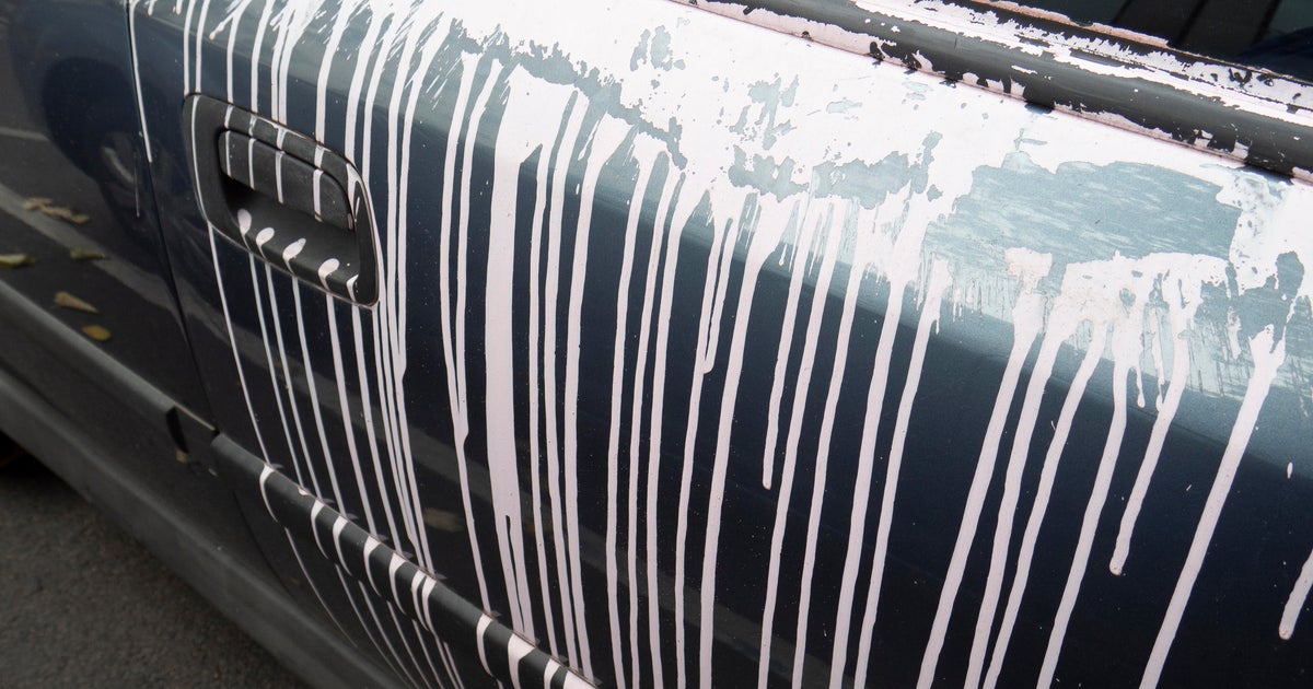 Arlington police investigating cars 'tagged with racist, vulgar ...