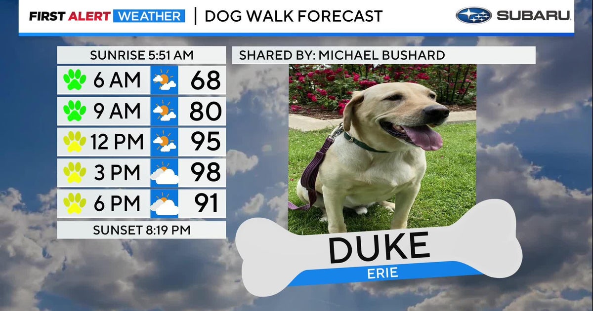 Duke joins Dog Walk Forecast - CBS Colorado