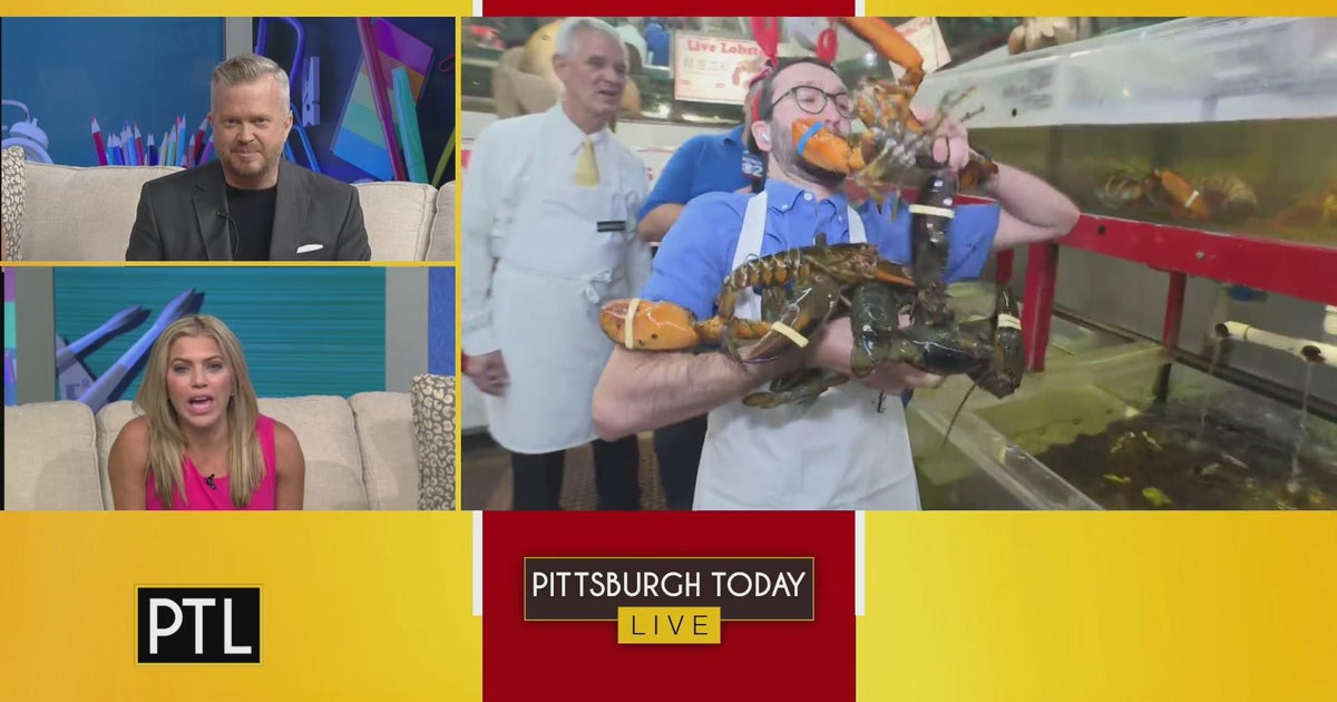 Boaz's lobster grab - CBS Pittsburgh