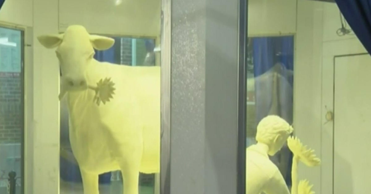 Butter cow unveiling happening at Illinois State Fair - CBS Chicago