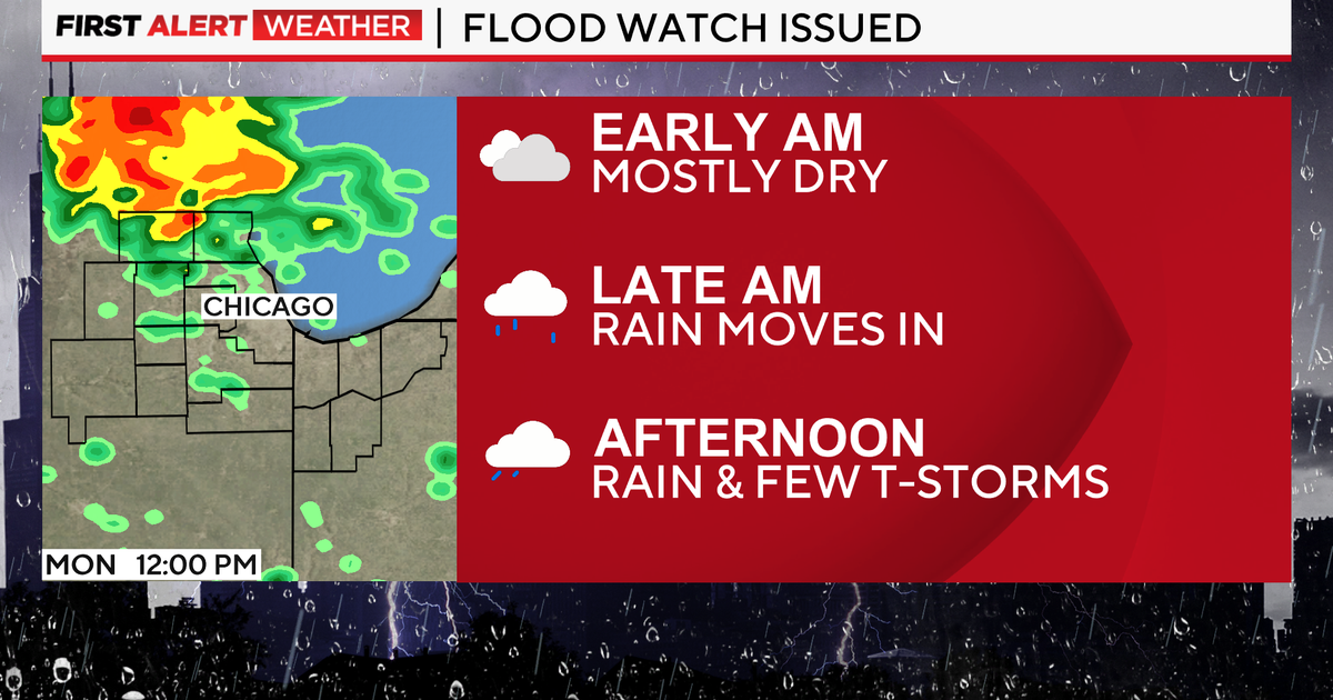 Chicago weather forecast hour by hour - CBS Chicago