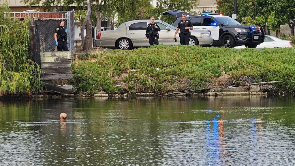 Suspect in San Mateo robbery, attempted burglary arrested after leaping ...